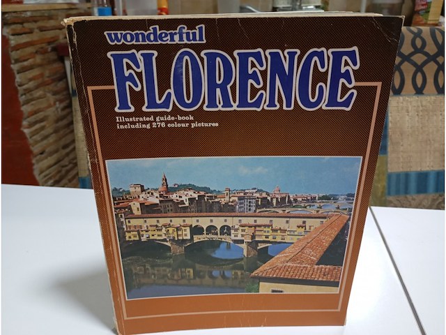 Florence ilustrated guide book