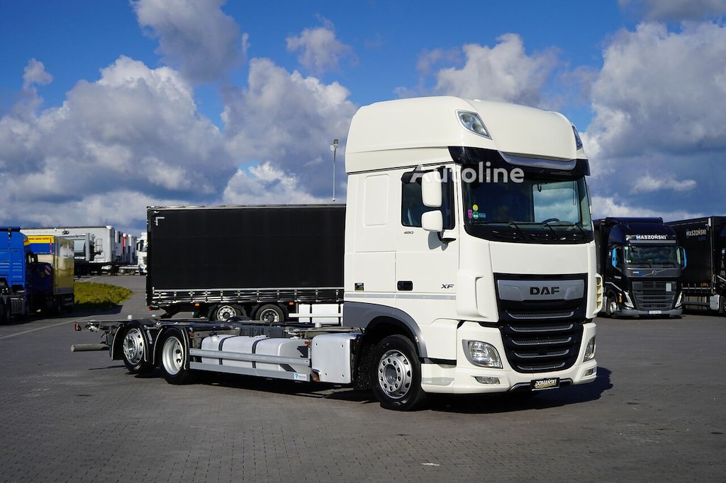 DAF XF 480 / MEGA / BDF vozilo za prevoz kontejnera