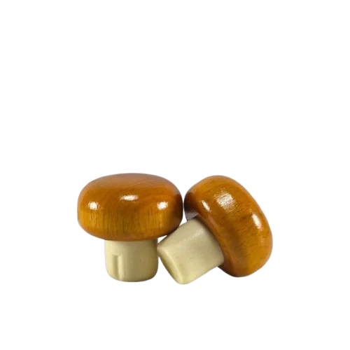Drveni narandžasti sintetički čep 22,5 mm