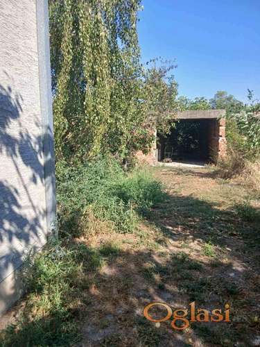 Sečanj – velika kuća sa poslovnim prostorom, blizu Tamiša – 28.000 €