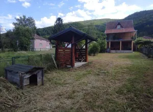 Prodaja Vila - Kraljevo, Ribnica