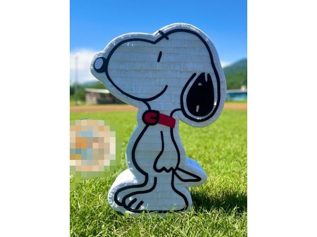 Snoopy, Pinjata