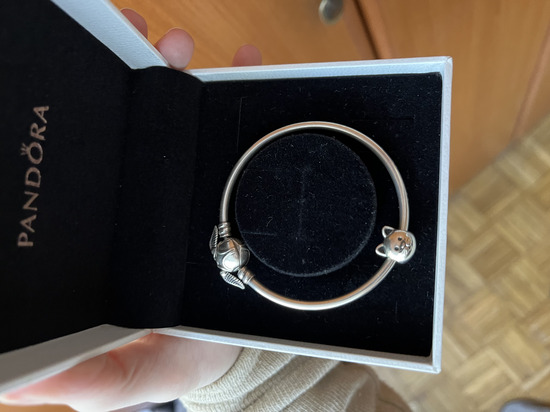 Original Pandora narukvica + privezak