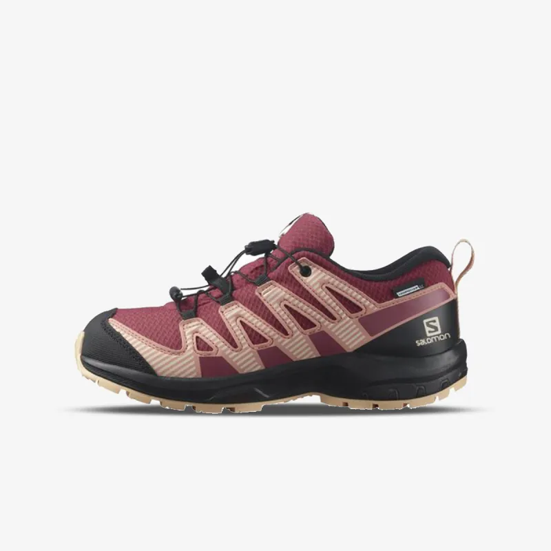 Salomon Xa Pro V8