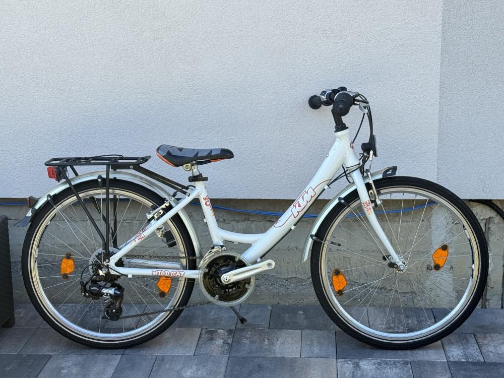 Ktm wild cat 24” alu