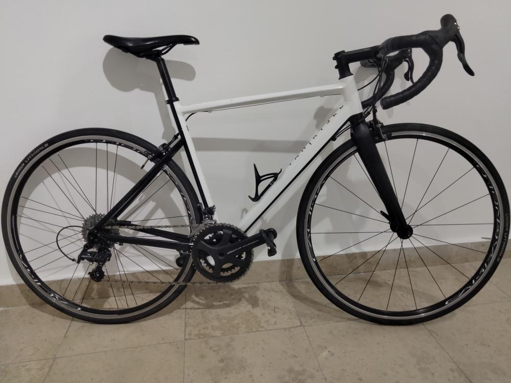 Van Rysel EDR AF Campagnolo Centaur