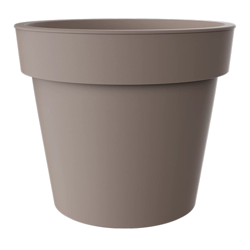 Saksija Melrose sa prstenom f60 moka
