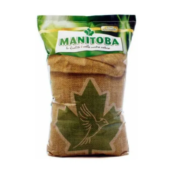 Manitoba zeleni mung pasulj za klijanje za ptice — priprema proklijale hrane