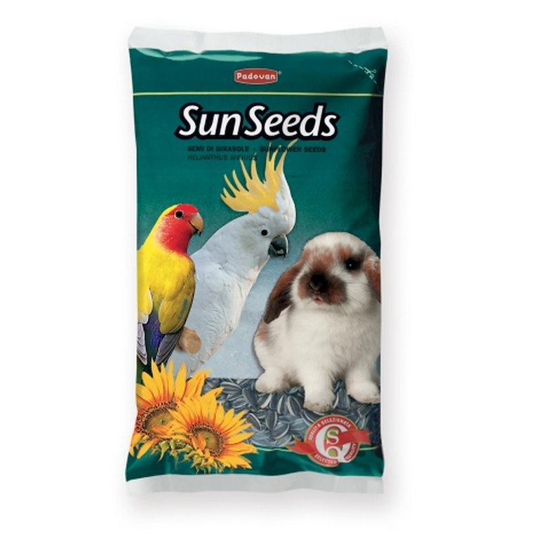 Padovan suncokret za ptice — pojedinačno seme
