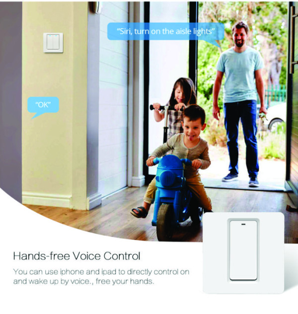 ZIGBEE-SWITCH-DS101 Gembird RSH Tuya WiFi Pametni kucni prekidac sa 1taster EU Standard