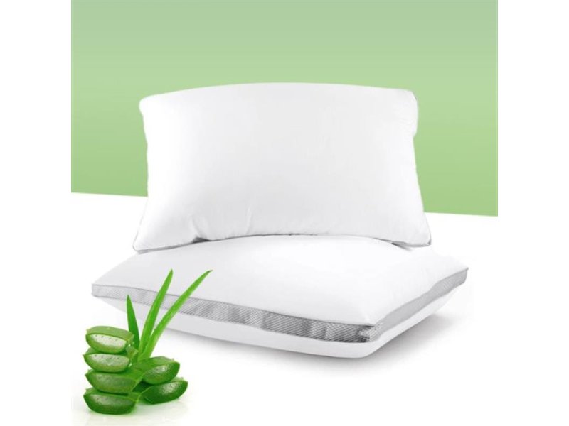 HOMEMATE Aloe Vera Gell jastuk + jastučnica set (2 kom)
