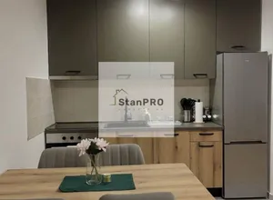 Izdavanje Stan - Beograd, Novi Beograd: Ledine