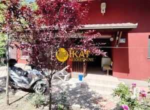 Prodaja Vila - Veliko Gradište