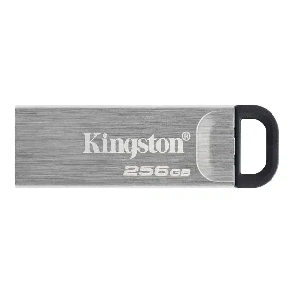 Kingston DataTraveler Kyson USB fleš memorija 256GB USB 3.2 DTKN/256GB