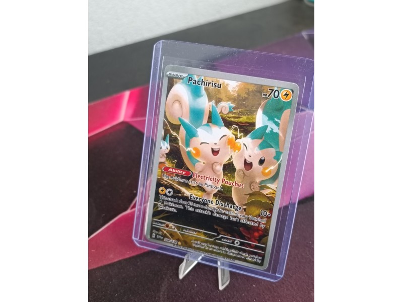 Pokemon TCG Pachirisu