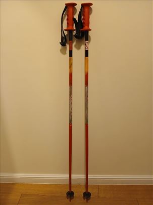 Ski štapovi DSI 125 cm
