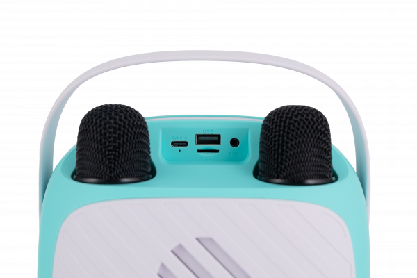 VIVAX VOX BT karaoke BS-20 Duo Green