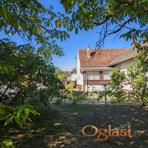 Etno apartman, sa potokom i voćnjakom.