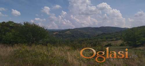 Odlična investicija - Vrdnik, 34.000m2