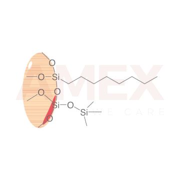 SPE kertridži ROTH ROTIXBond C8, 3 ml, 500 mg, 50 kom.