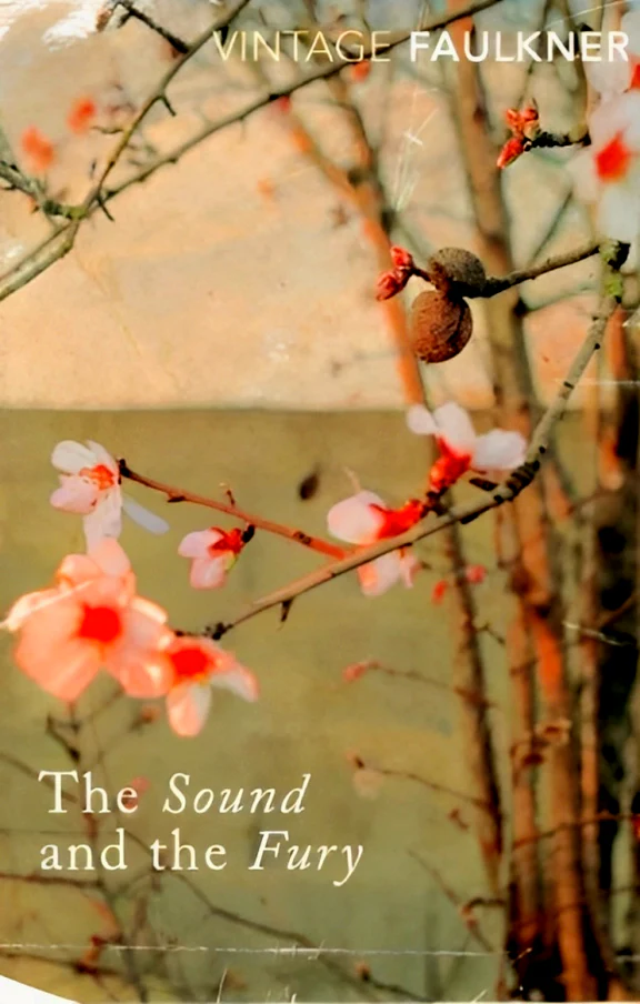 Sound & The Fury