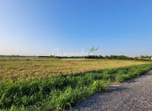 Prodaja Građevinsko zemljište - Beograd
