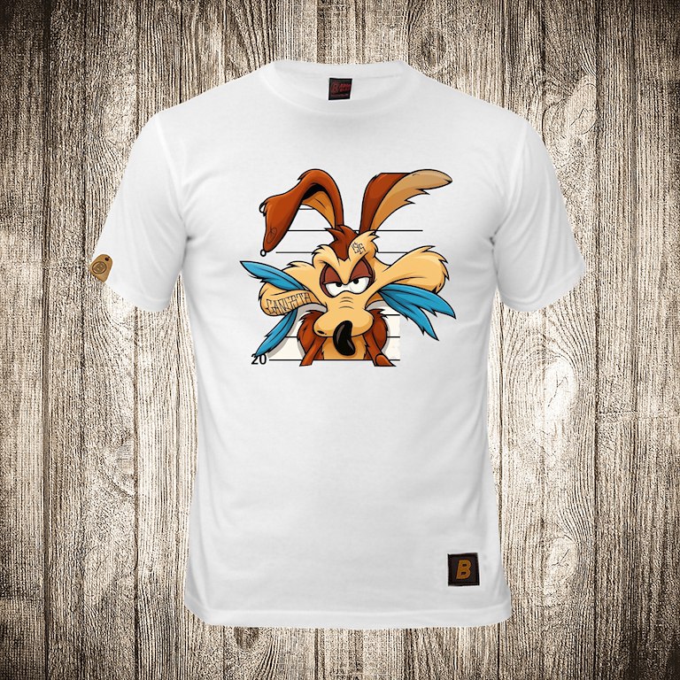 Pera Kojot pojeo Pticu Trkačicu