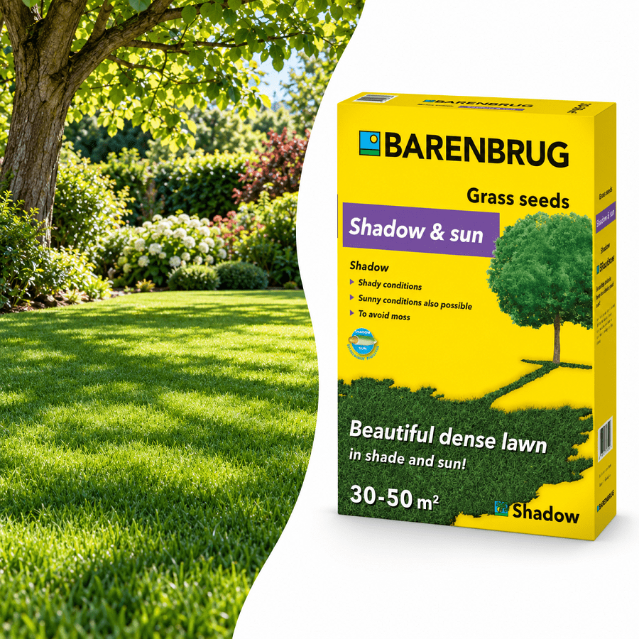Barenbrug Shadow & Sun – seme trave za hlad i sunce, 1 kg