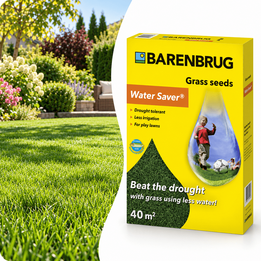 Barenbrug Dry & Strong Watersaver – seme trave za sušne uslove, 1 kg