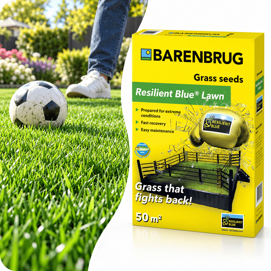 Barenbrug Tough & Easy Resilient Blue – seme trave otporno na stres, 1 kg