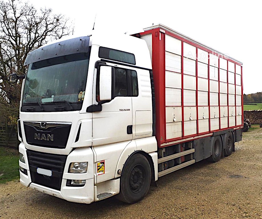 MAN TGX 26.500 kamion za prevoz stoke