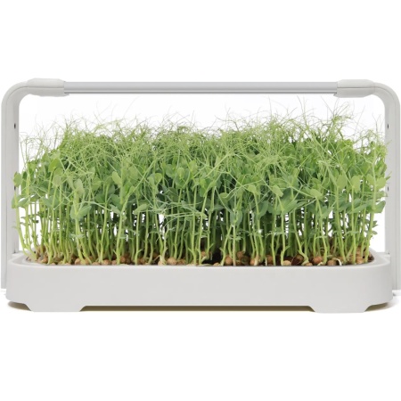 Smart Bašta MicroGreen