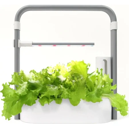 Smart Bašta Hydroponics Grow