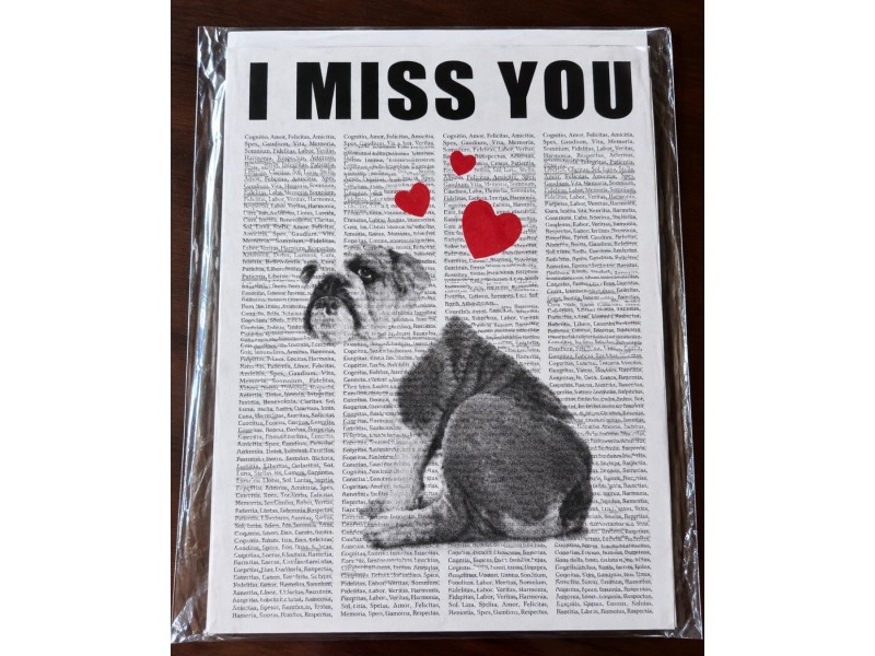 Cestitka - I miss you - novo