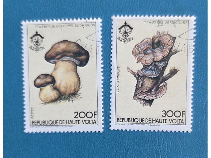 Gornja Volta 1984 gljive