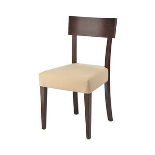 Stolica Modena