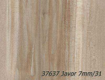 Laminat - Javor