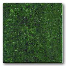 Polirani granit-6411-30x30cm