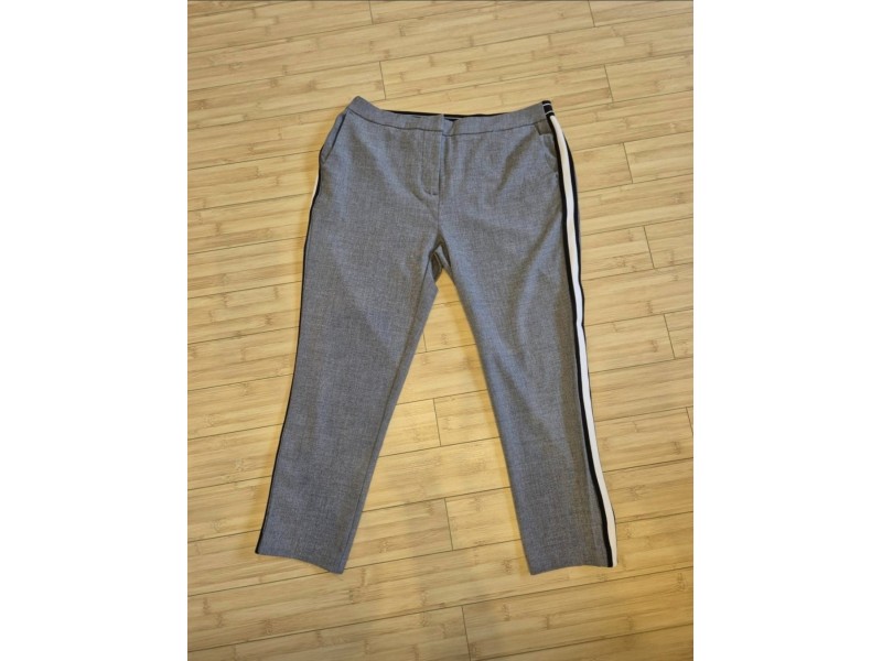 Chicoree pantalone (Svajcarska)