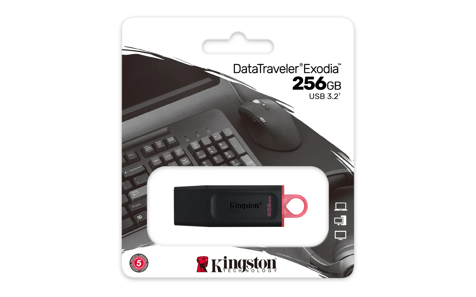 Kingston DataTraveler Exodia USB fleš memorija 256GB USB 3.2 Gen 1 DTX/256GB