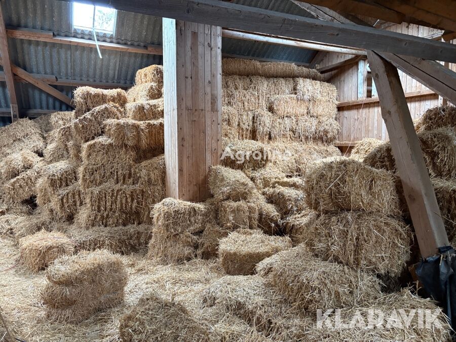 Prodaje se Halm / halmbalar minst 80 kubikmeter biljnu hranu na aukciji