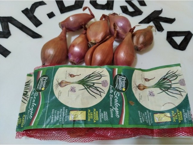 Ljutika, ( Allium ascalonicum) 50 semena