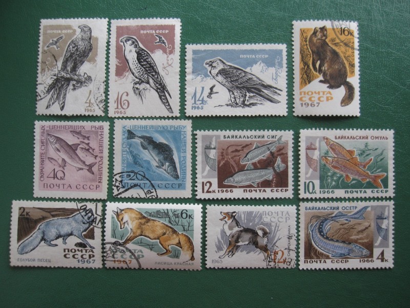SSSR FAUNA lot