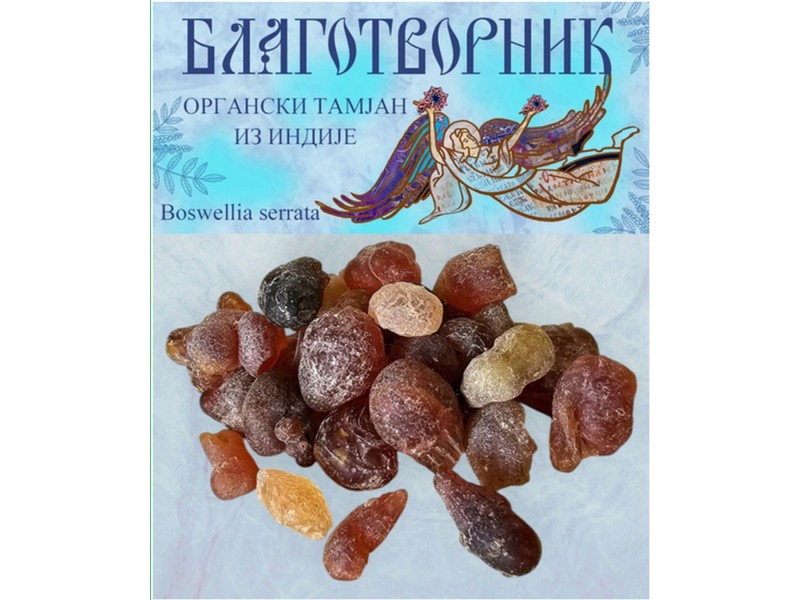 Tamjan Blagotvornik - Boswellia serrata - Indija