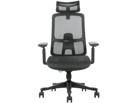 UGD Ergonomska kancelarijska stolica Task Master Mesh