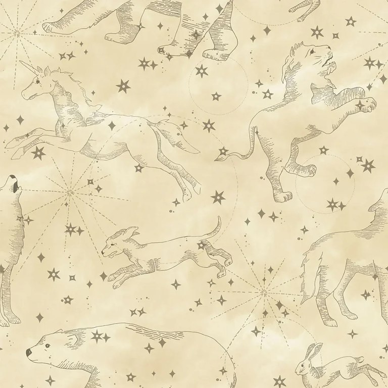 Dekornik tapeta constellations light