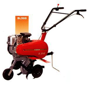 Freza BENASSI BL 300 HS