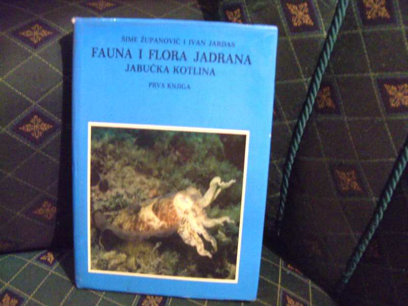 Fauna i flora Jadrana , I deo, Šime Županović