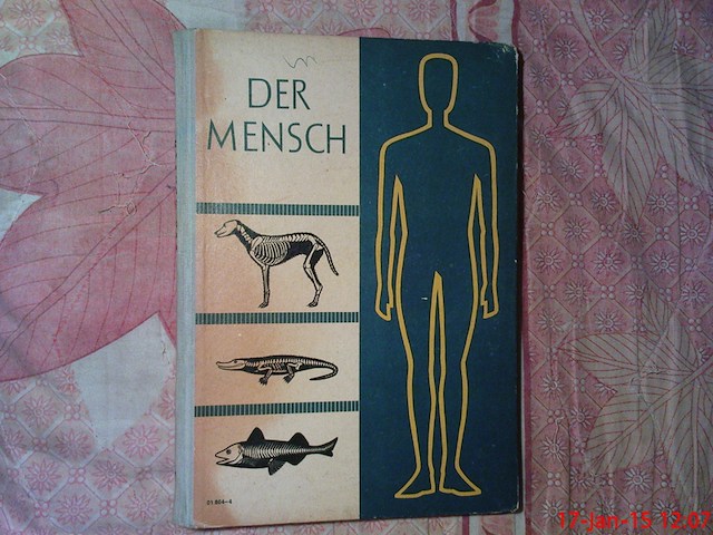 DER  MENSCH  - EUN LEHRBUCH FUR DEN BIOLOGIE