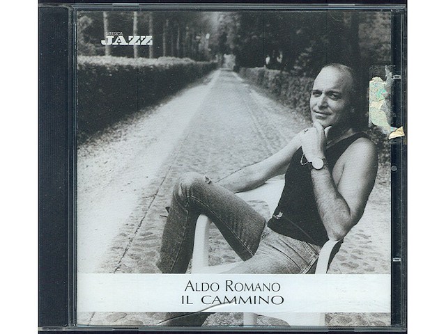 IL CAMMINO - Aldo Romano